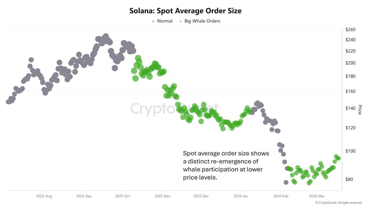 Solana Price Outlook: Whale Accumulation vs Futures Selling Pressure ...
