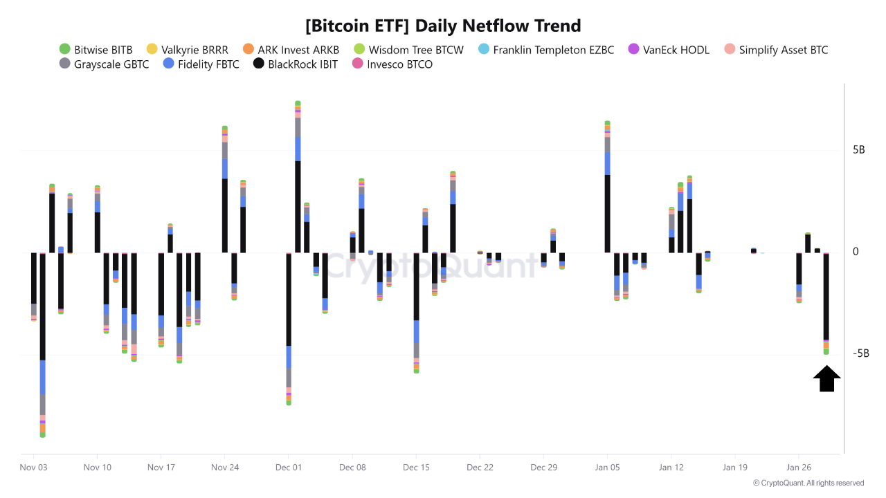 Binance Whale Activity and ETF Outflows Align | CryptoQuant