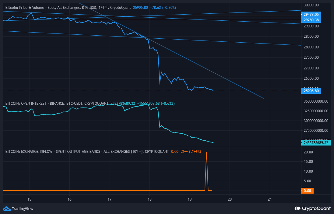 My Chart | CryptoQuant