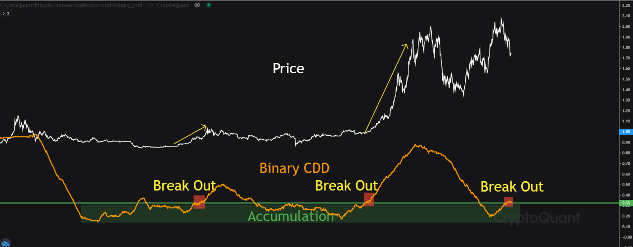 Binary CDD Break Out | CryptoQuant