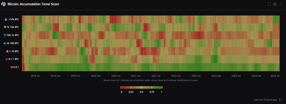 Bitcoin Accumulation Trend Score | CryptoQuant