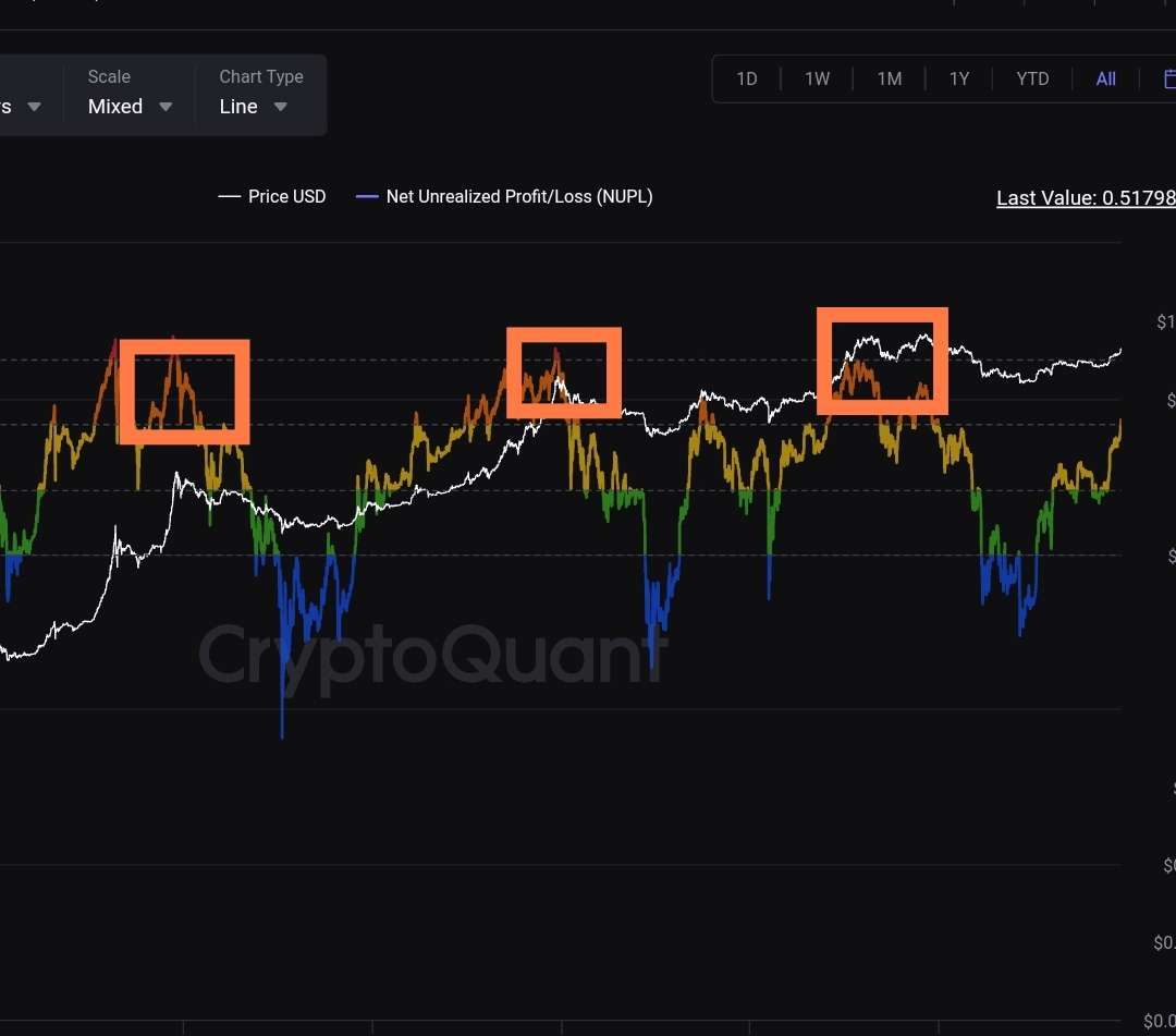 Entering the Belief Zone: NUPL Signals a Turning Point in Crypto Market Trends | CryptoQuant