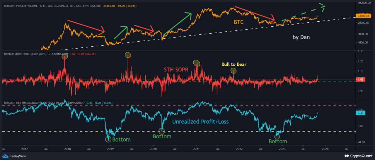 What signal comes from the peak of a bull market? | CryptoQuant