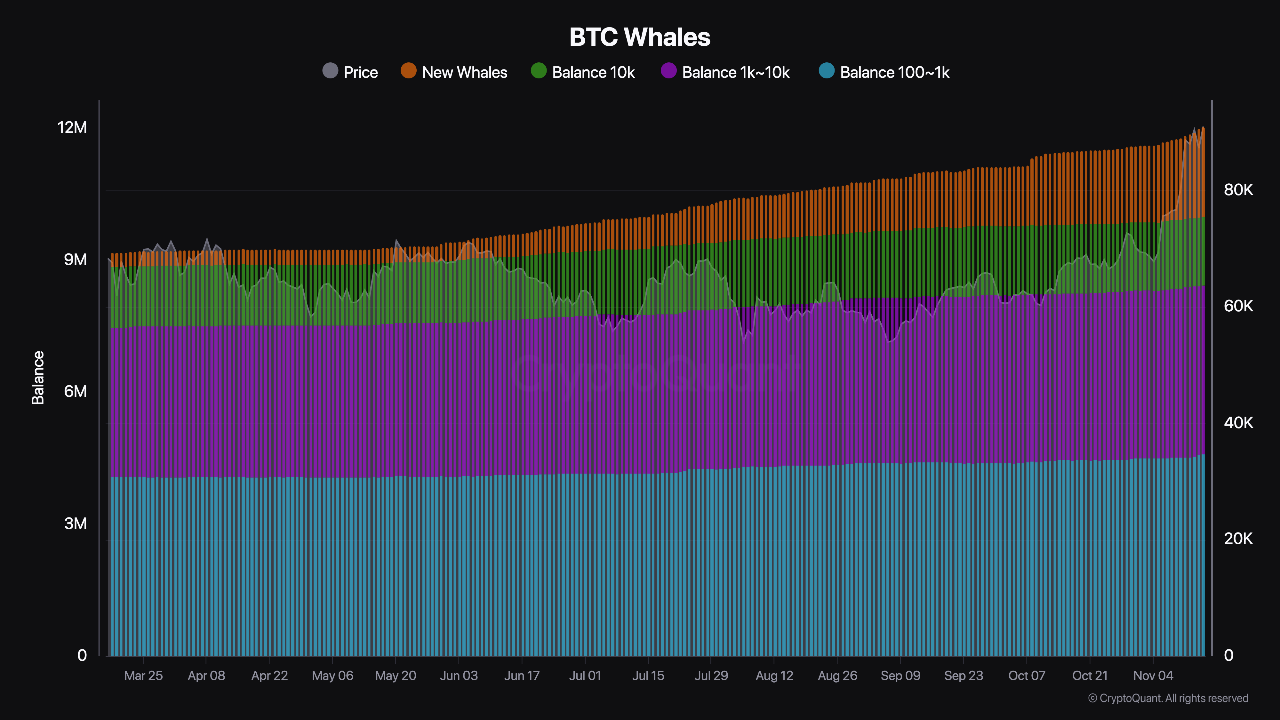 Bitcoin whales are still accumulating. | CryptoQuant