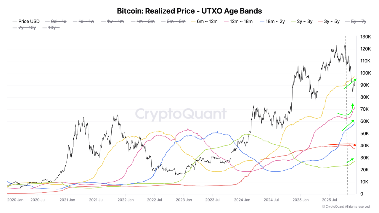 Long-Term HODLer Cost Basis is Rising | CryptoQuant