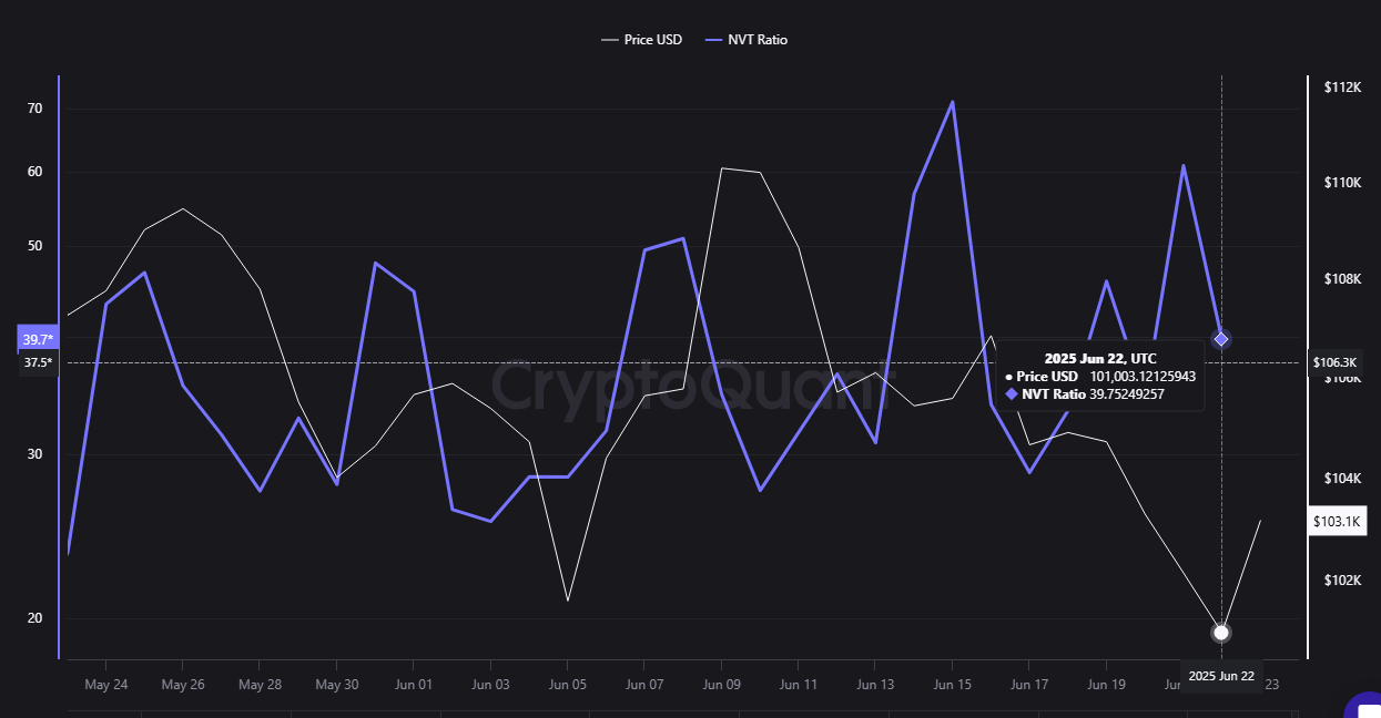 It Wasn't Panic: The Hidden Truth Behind the Synchronized Crash of ...