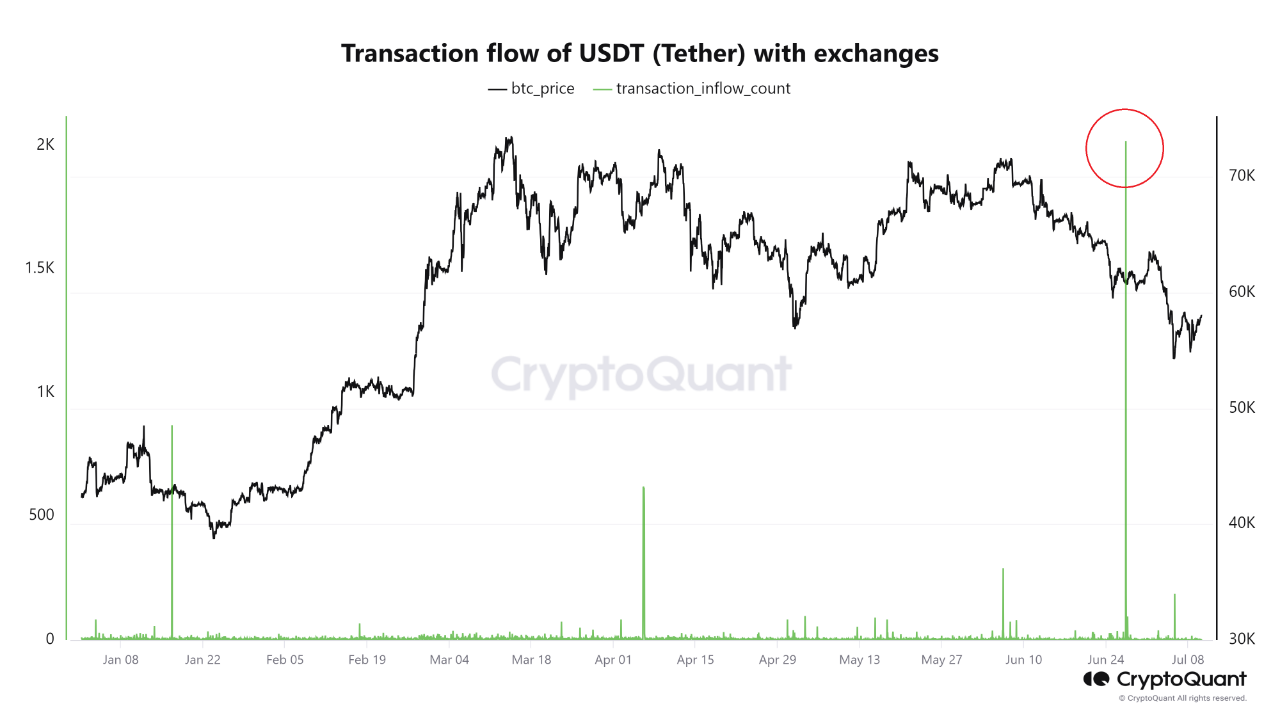 The Highest USDT Transaction Into Exchanges in 2024 | CryptoQuant