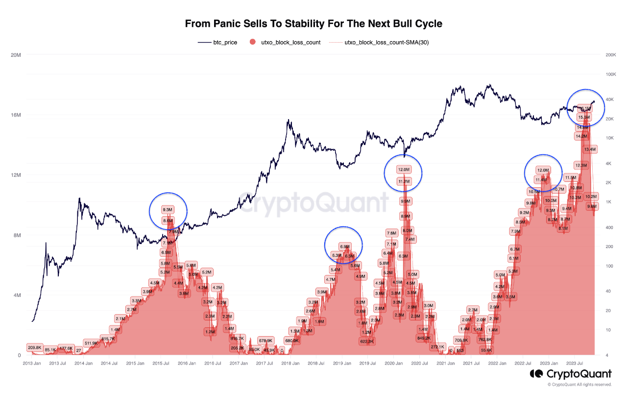 From Panic Sells To Stability For The Next Bull Cycle | CryptoQuant