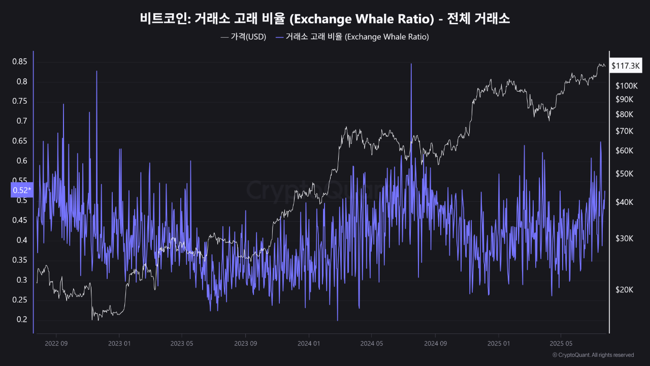 Rising Whale Ratio and Key Volume Node at $118K – Can Bitcoin Hold This ...