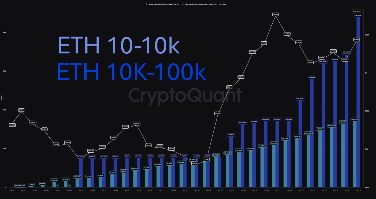 Ethereum accumulation is accelerating rapidly | CryptoQuant