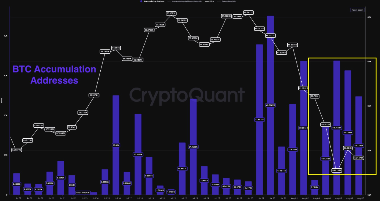 Bitcoin accumulation is on fire | CryptoQuant