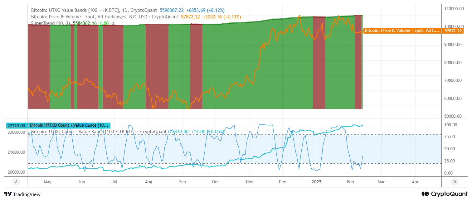 suptrend-cryptoquant