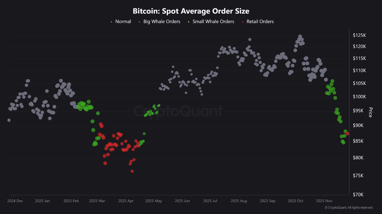 Big wallets and retail | CryptoQuant
