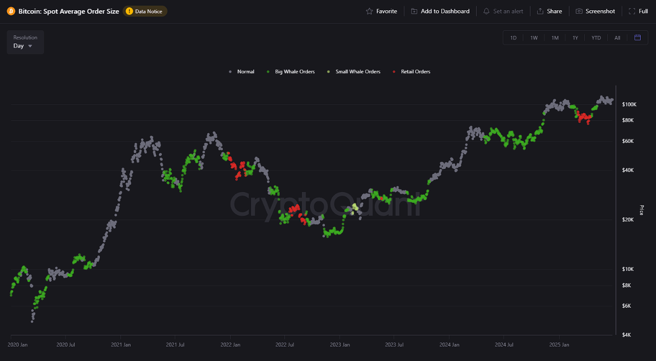 Spot Average Order Size | CryptoQuant