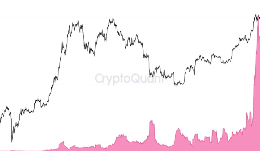 Research & Reporting | CryptoQuant