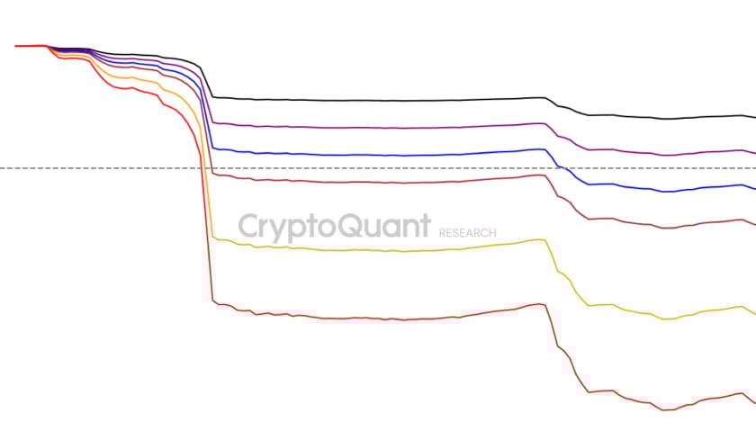 Research & Reporting | CryptoQuant